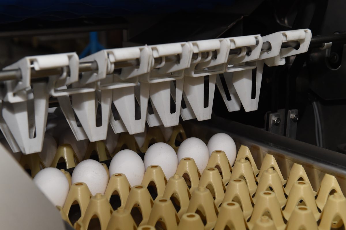 Solupack 40-75 - Solupar