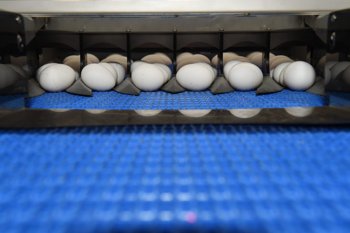 Solupack 40-75 - Solupar